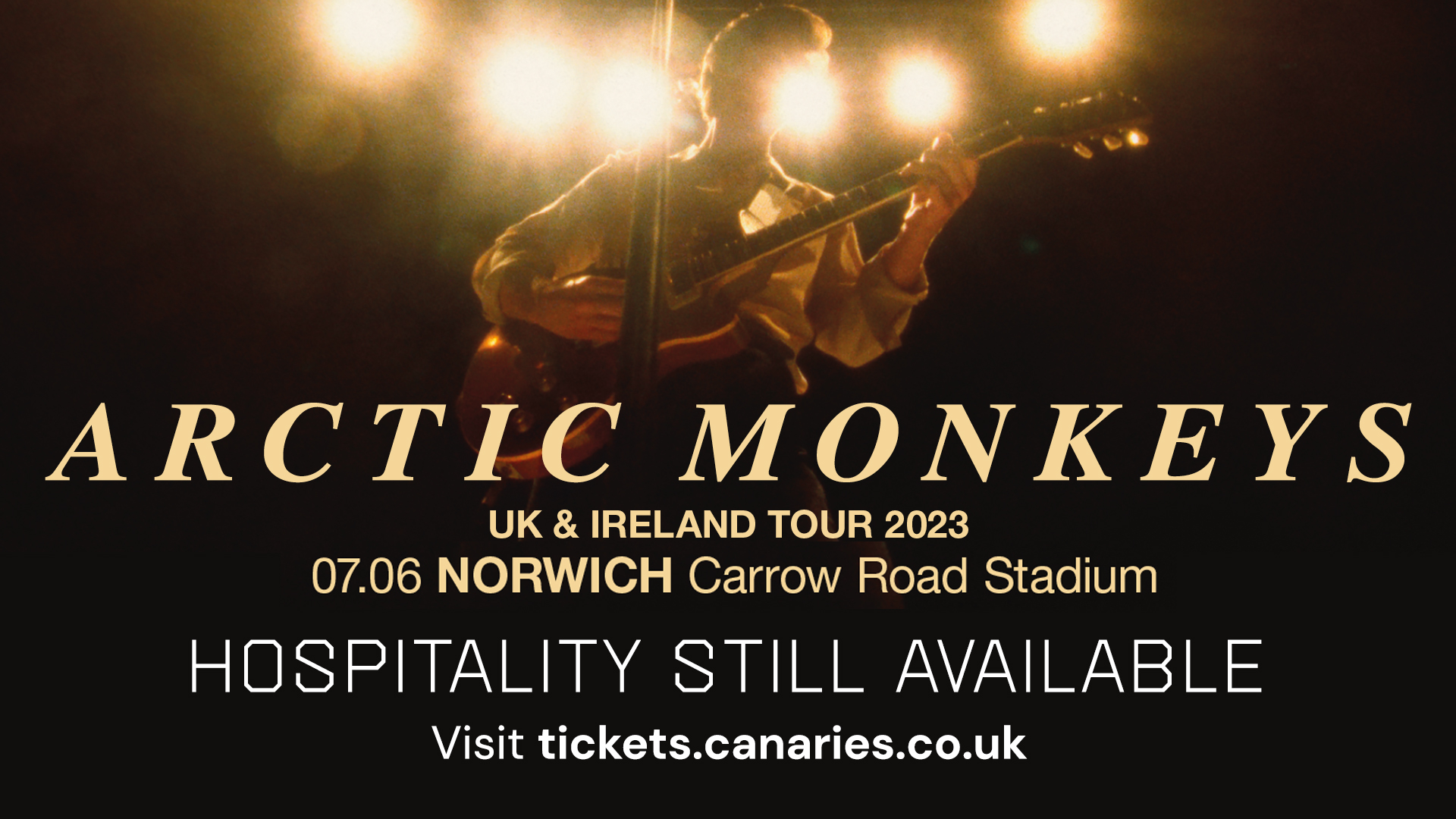 Arctic Monkeys Concert - Norfolk Chamber of Commerce