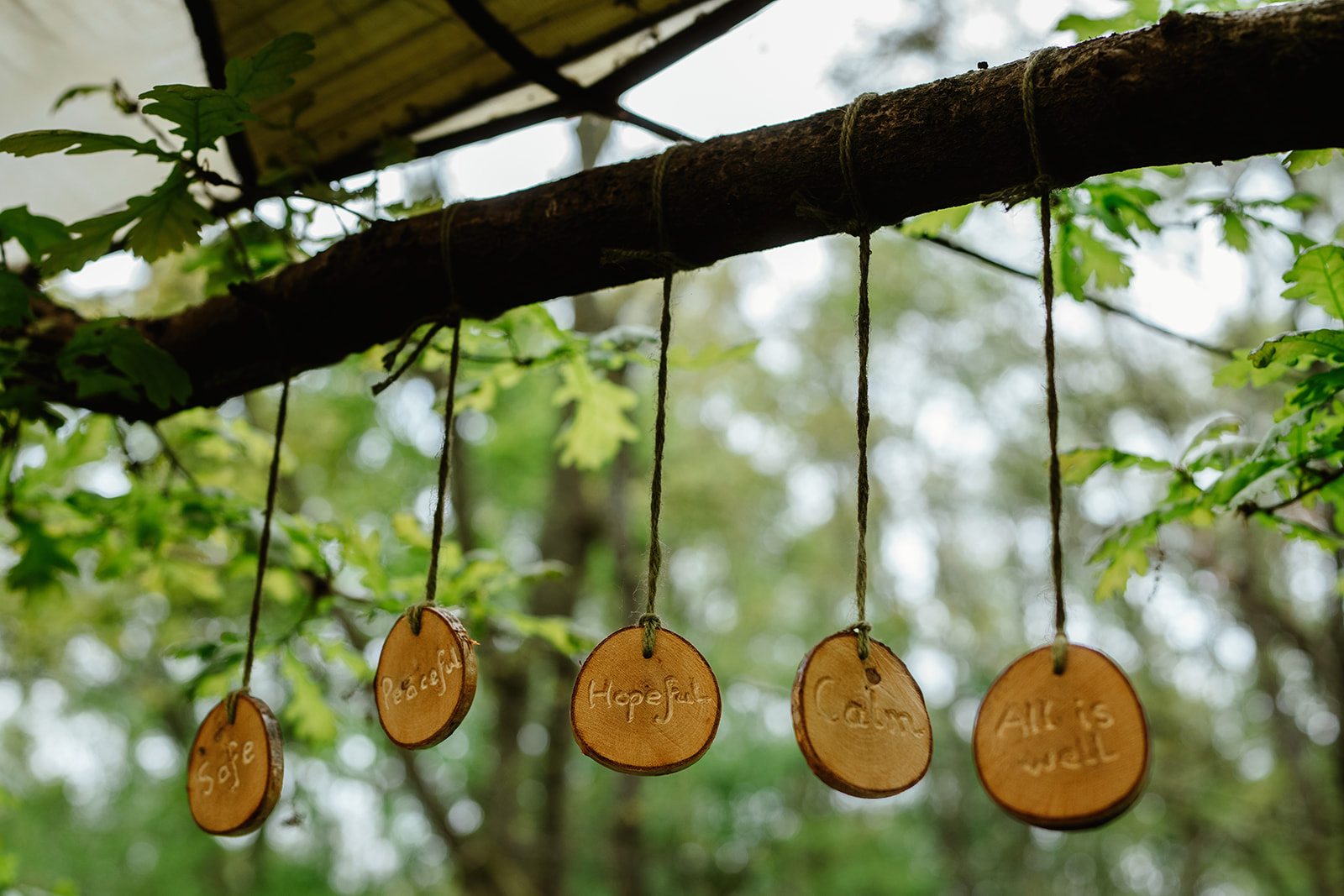 Green Light Trust - Norfolk Chamber of Commerce