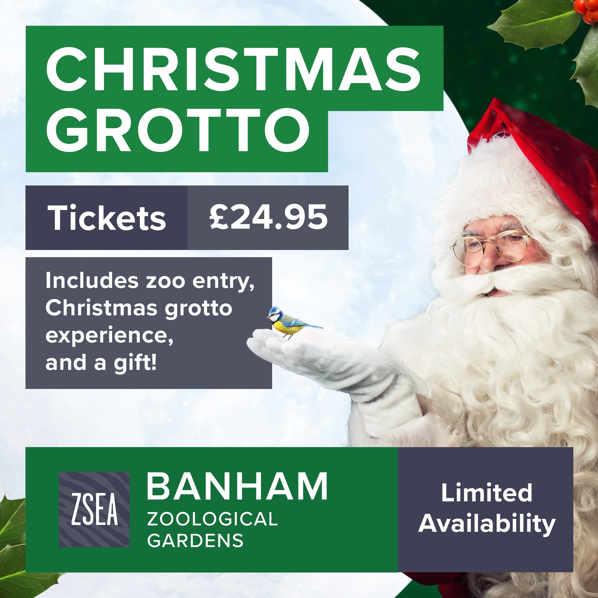 Join Banham Zoological Gardens this festive season for an experience ...