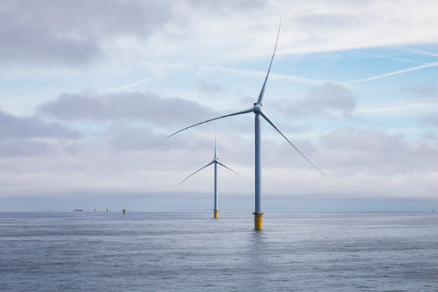 Five-year contract tenders invited for cable repair and testing for ...